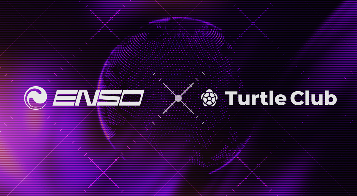 How TurtleDAO Simplified DeFi Complexity with Enso